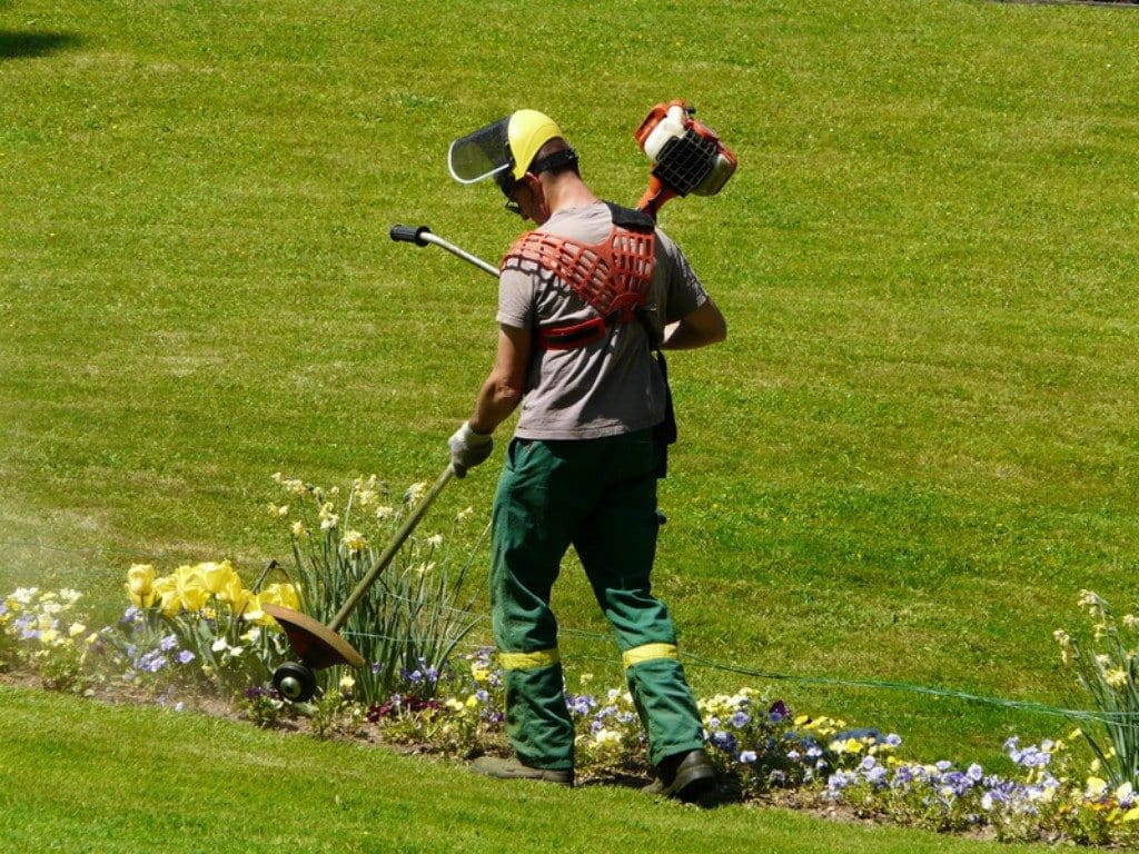 4 rotofils efficaces pour entretenir son jardin - Top Bottins